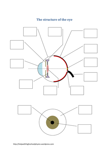 The structure of the eye, Iris reflex and .. | Teaching Resources