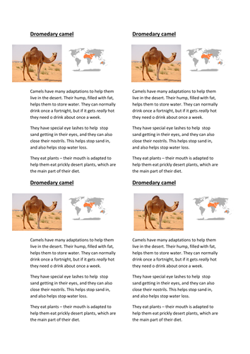 Adaptation survival game | Teaching Resources