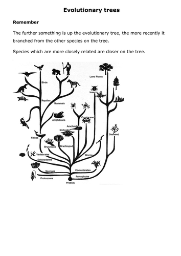 AQA-B1-7-Evolution | Teaching Resources