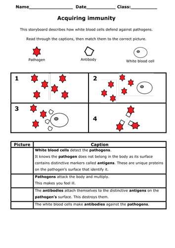 Aqa B1 1 Keeping Healthy Part 2 Teaching Resources