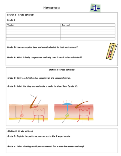 Homeostasis carousel activity | Teaching Resources