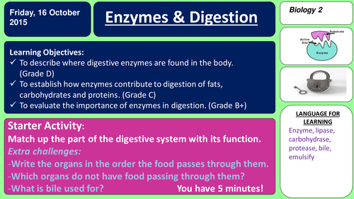 Enzymes AQA B2 | Teaching Resources
