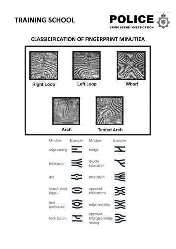 CSI Forensics Course | Teaching Resources