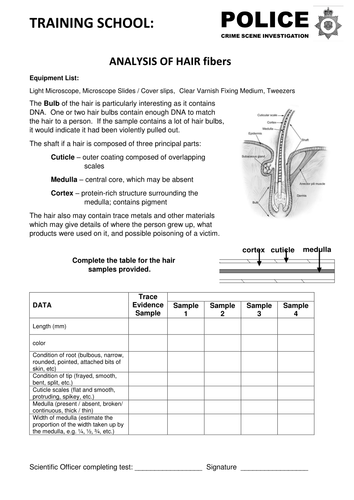 CSI Forensics Course | Teaching Resources