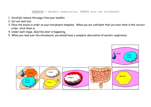 Respiration Storyboard - pupils do the work! | Teaching Resources