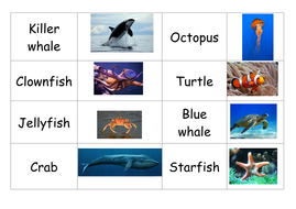 matching fish names | Teaching Resources