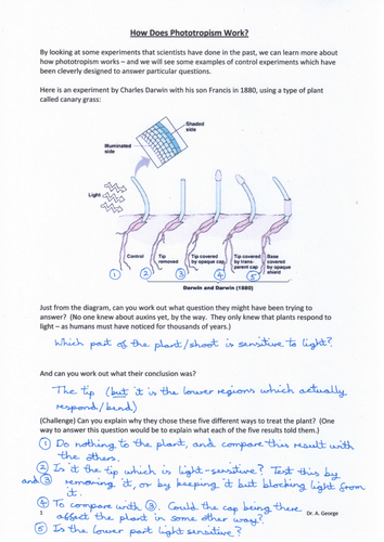 Phototropism Experiments worksheet KS4 KS5 | Teaching Resources