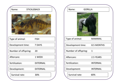 Animal reproduction strategies | Teaching Resources