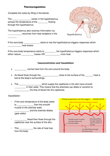 Thermoregulation | Teaching Resources