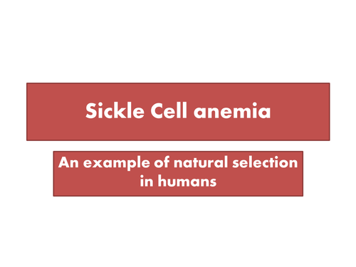 Natural Selection and Sickle Cell Anemia | Teaching Resources