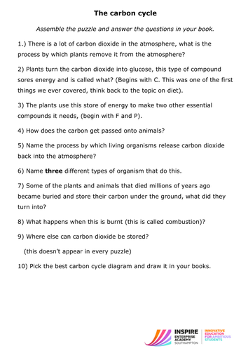 The Carbon cycle - large assembly | Teaching Resources