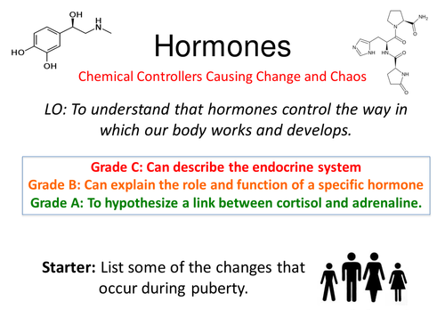 Hormones Tutorial & Activities | Teaching Resources
