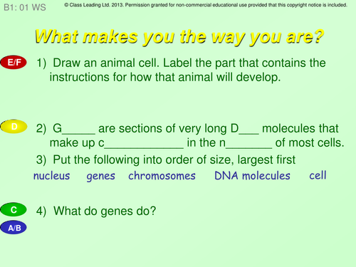 What makes you the way you are - questions | Teaching Resources