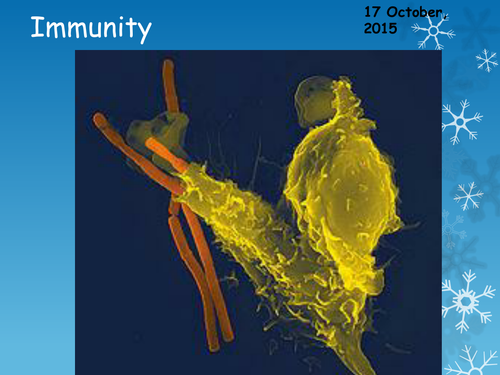 Immunity | Teaching Resources