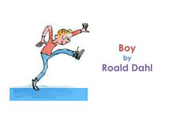Boy by Roald Dahl | Teaching Resources