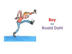Boy by Roald Dahl | Teaching Resources