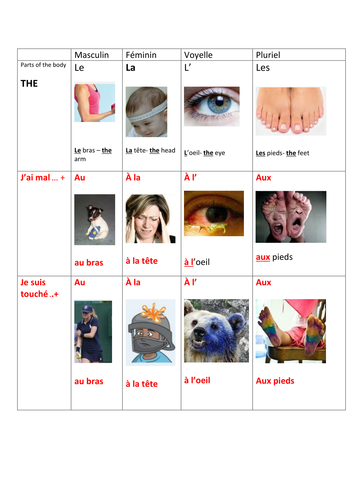 Parts of Body | Teaching Resources