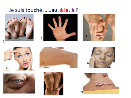 Parts of Body | Teaching Resources