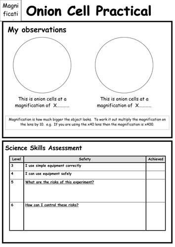 Onion Cells, microscope skills and worksheet | Teaching Resources