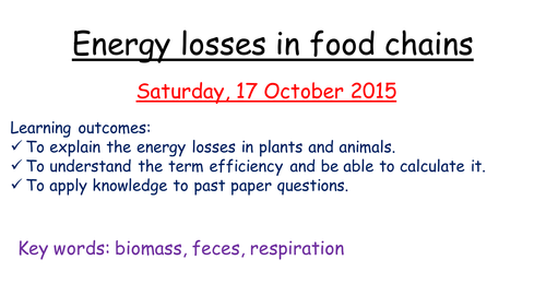 Energy losses in food chains | Teaching Resources