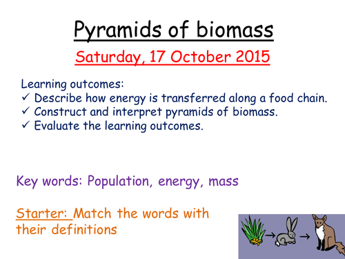 Pyramids of biomass | Teaching Resources