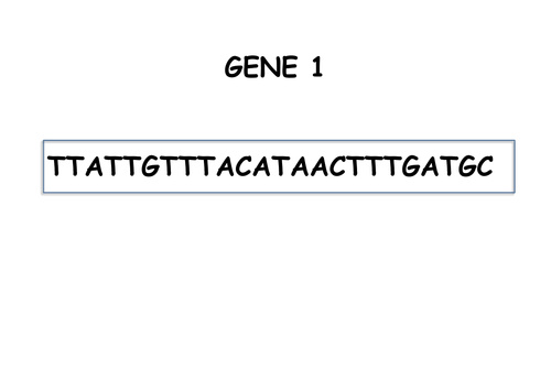 Transcription Translation game | Teaching Resources