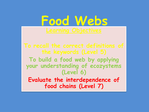 Food chains and webs | Teaching Resources