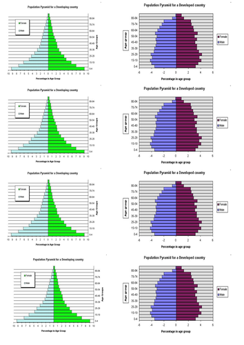 Population Pyramids | Teaching Resources