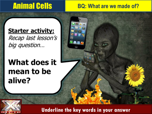 Animal cell organelles ft. QR Codes @ELSS_Biology | Teaching Resources