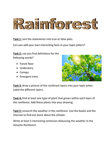 Rainforest Activities | Teaching Resources