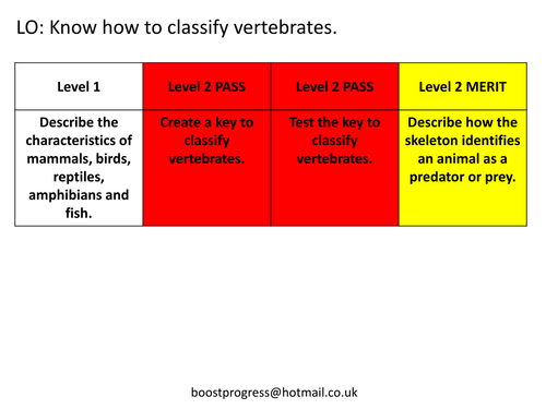 KS2,3 or 4 Biology of Variation 3 - Vertebrates | Teaching Resources