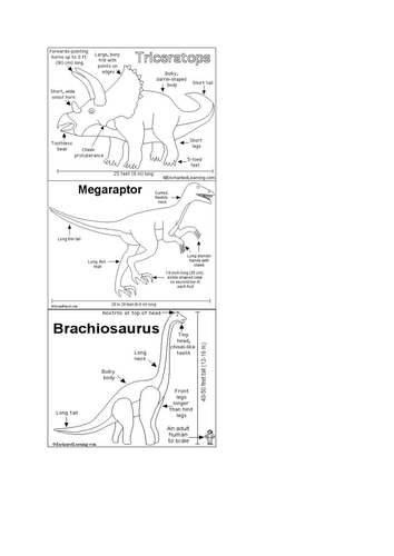 Dinosaur Fact Books | Teaching Resources