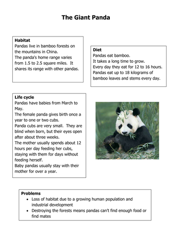 Pandas | Teaching Resources