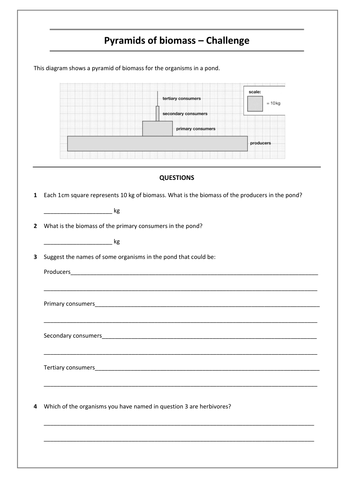 B1 5.1 Pyramids of Biomass | Teaching Resources