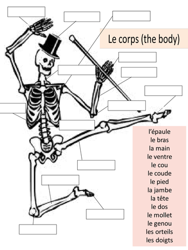 KS3 French - The body and parts of the body | Teaching Resources