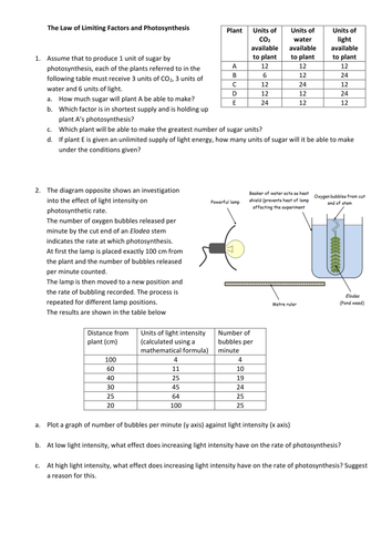 Photosynthesis and the Law of Limiting Factors | Teaching Resources