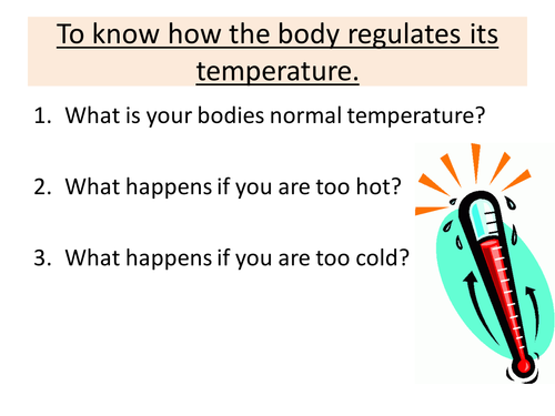 Thermoregulation | Teaching Resources