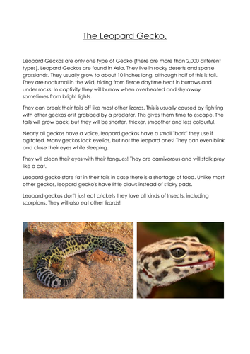 Lizards | Teaching Resources