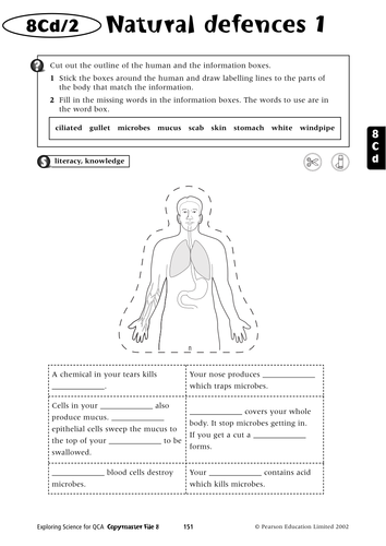 Defense against disease! | Teaching Resources