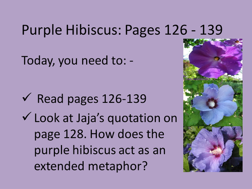 Purple Hibiscus - Chimamanda Ngozi Adichie | Teaching Resources