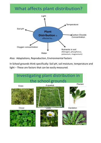 Plant distribution, biodiversity, prediction | Teaching Resources