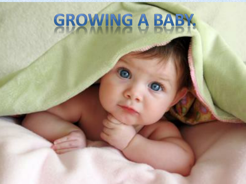Growing a Baby | Teaching Resources
