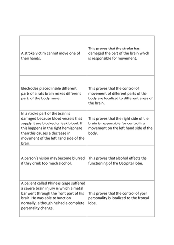 How Science Works Our Beautiful Brain, structure | Teaching Resources