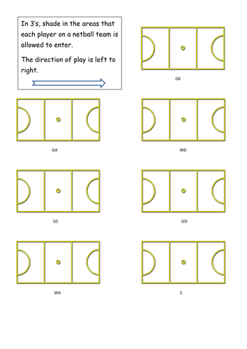Netball Roles and Positions Starter | Teaching Resources