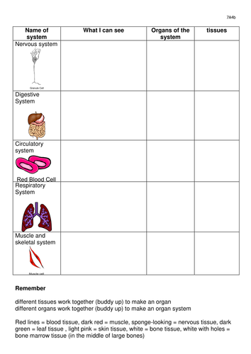 Cells tissues and organs lesson plan | Teaching Resources
