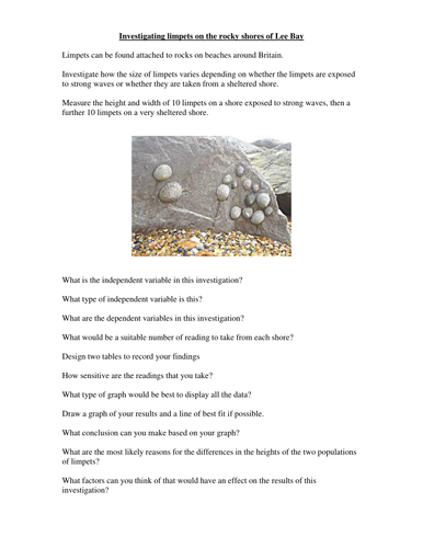 Investigating adaptations of organisms | Teaching Resources