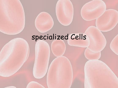 Specialized Cells | Teaching Resources