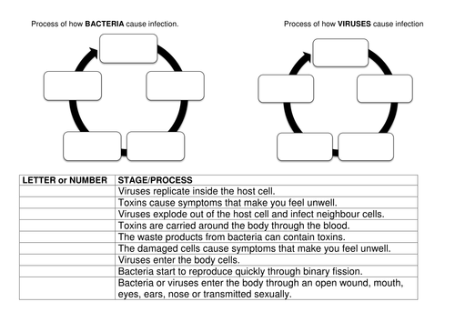 How Pathogens Cause Infection | Teaching Resources