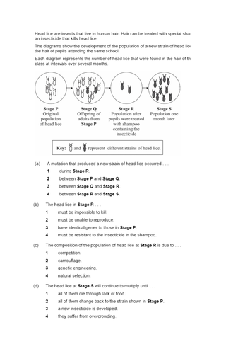 AQA GCSE Biology B1 mutation PPT | Teaching Resources