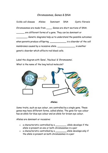 Genes & Evolution Revision for Edexcel B1 | Teaching Resources